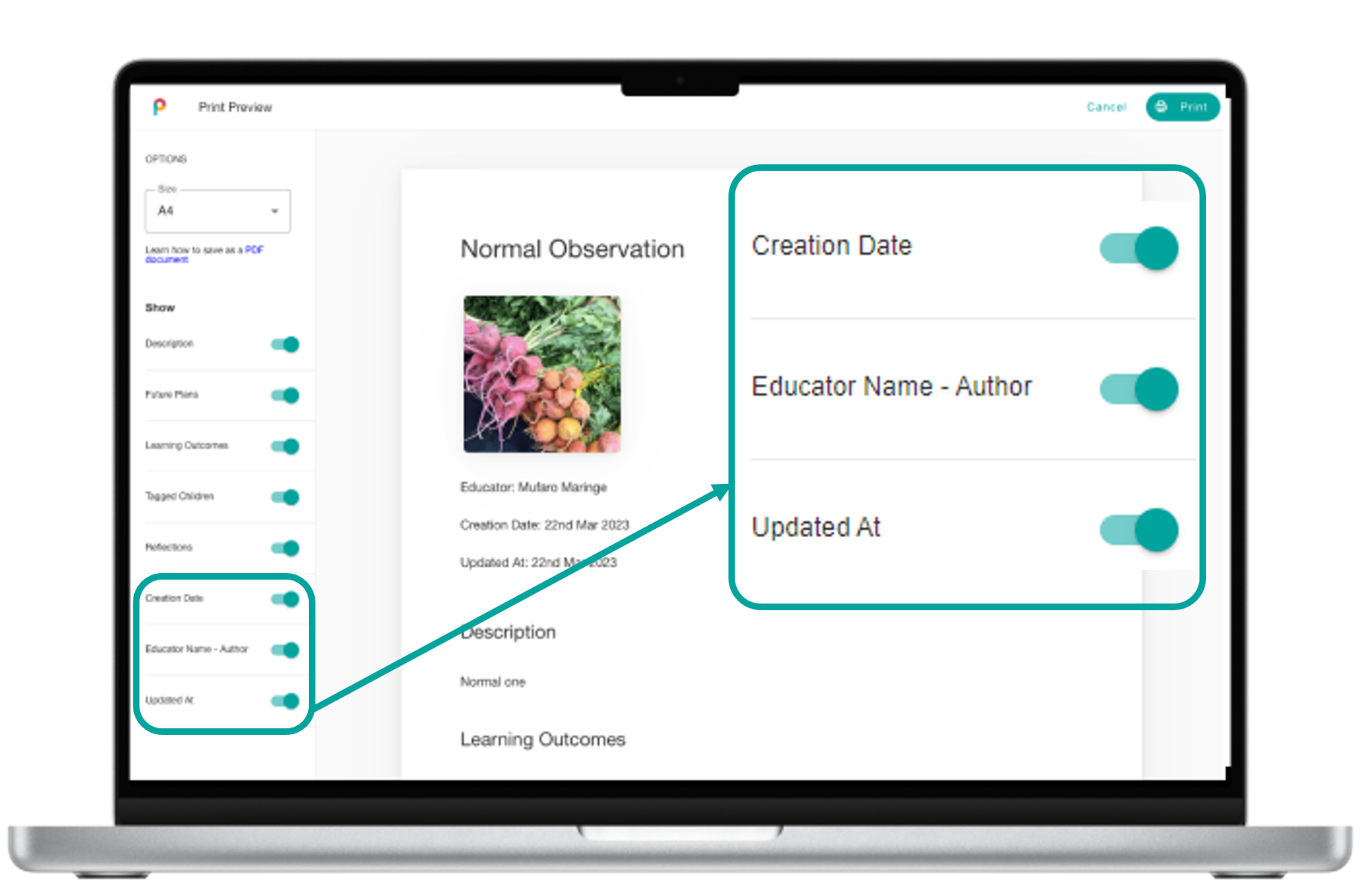 Playground Web: Printing Guide