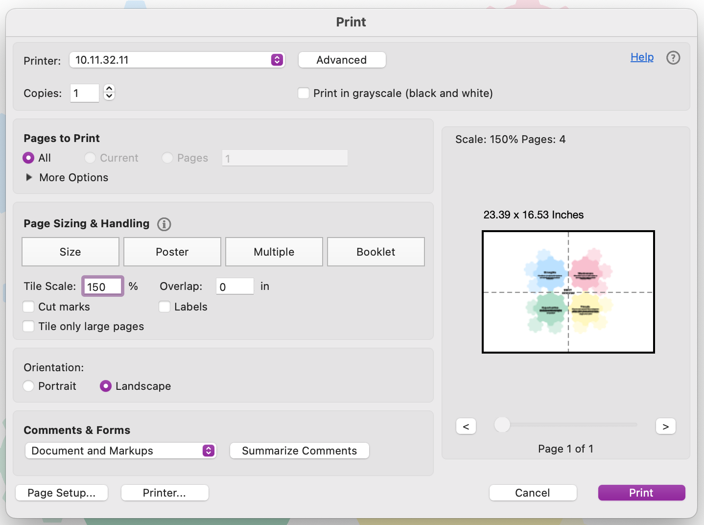 Playground Web: Printing Guide